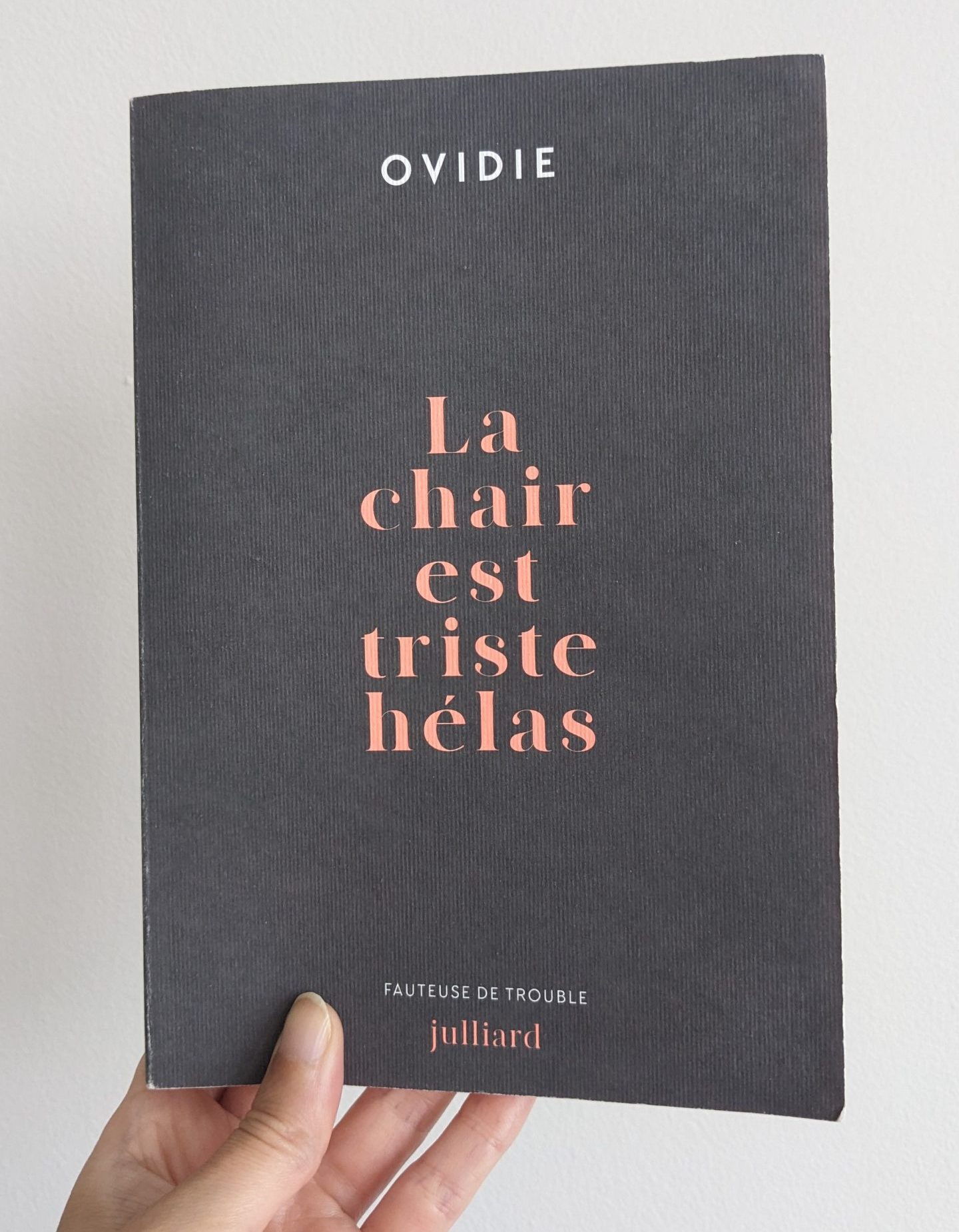 Réflexions autour de La chair est triste hélas d’Ovidie - Maghily